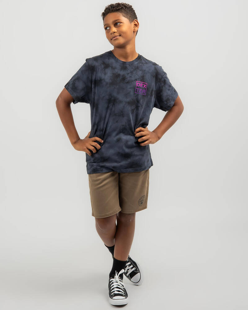 Shop Dexter Boys' Pierce T-shirt In Blue Mottle - Fast Shipping & Easy ...