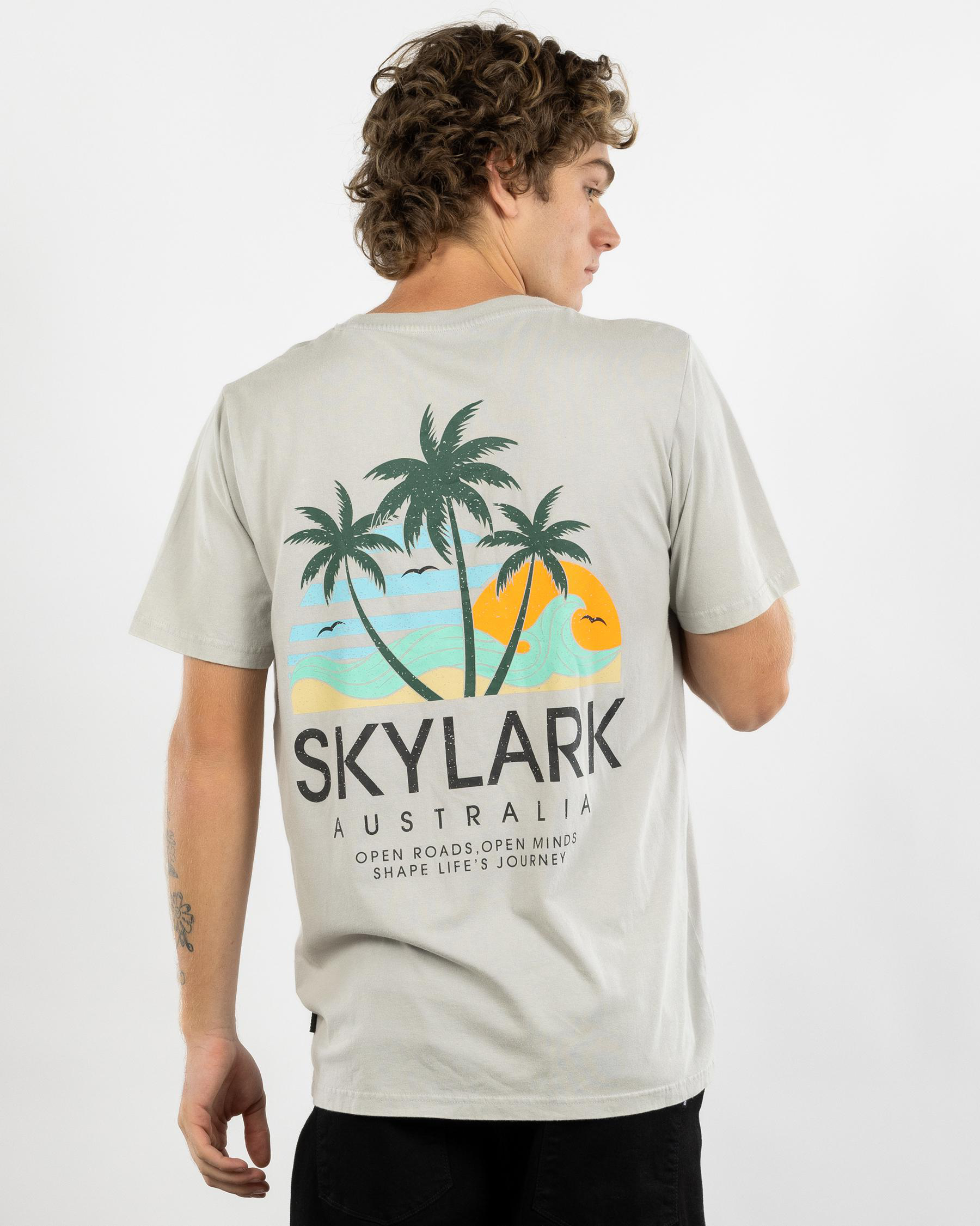 Shop Skylark First Light T-Shirt In Light Grey Acid - Fast Shipping ...