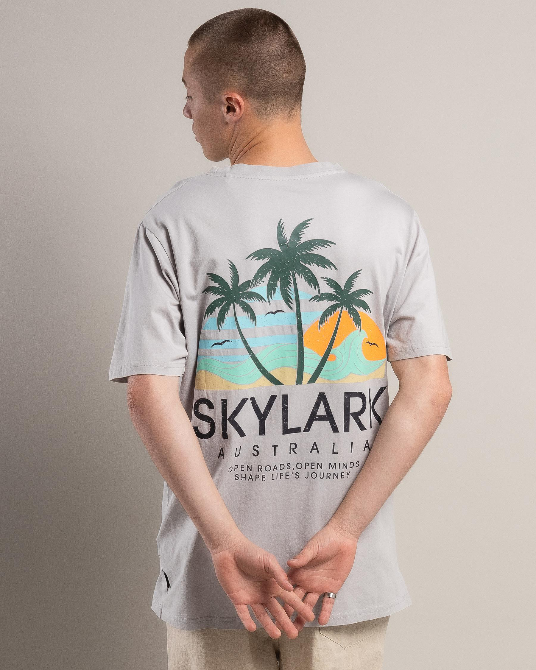 Shop Skylark First Light T-Shirt In Light Grey Acid - Fast Shipping ...