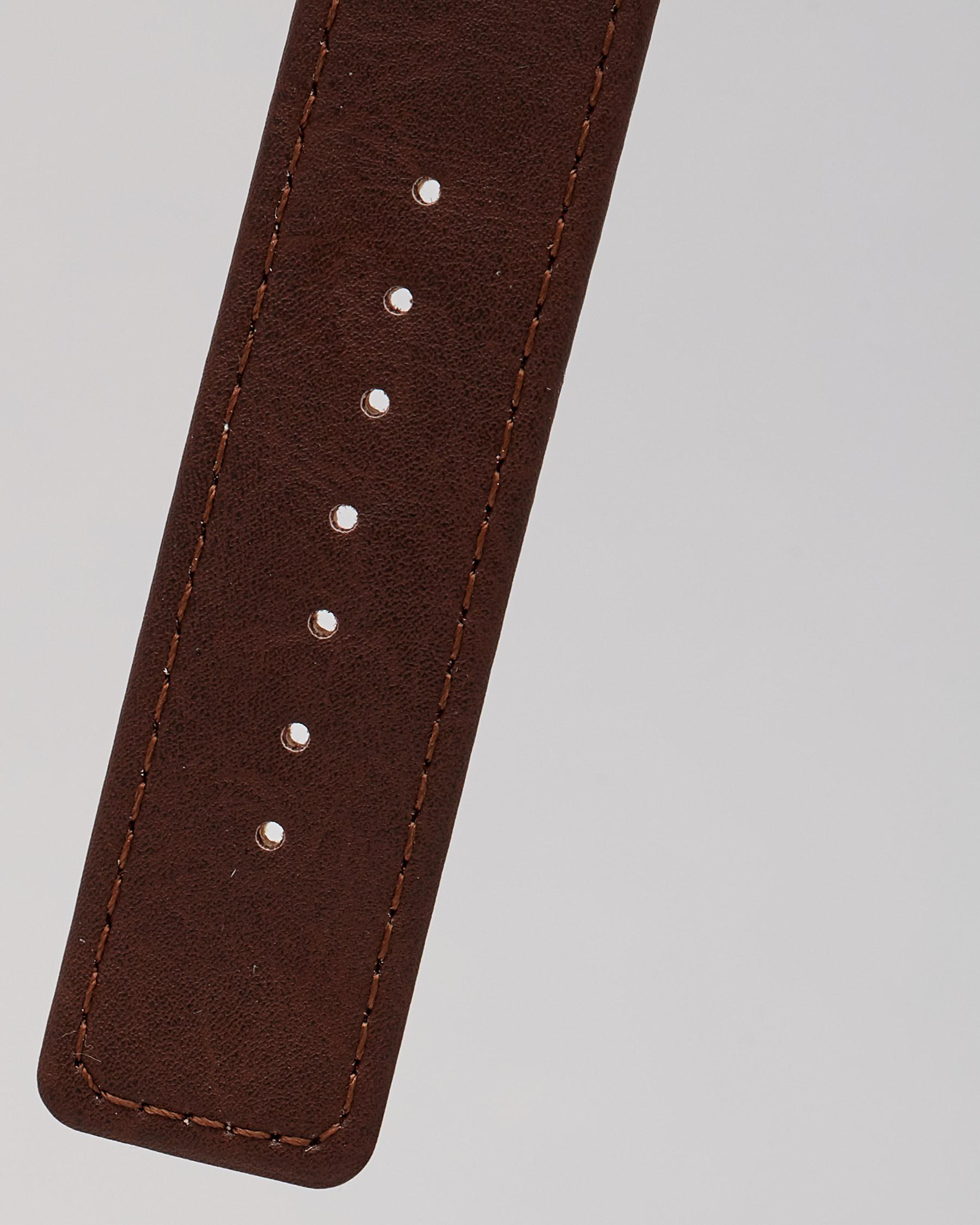 Shop Lucid Spirit Watch In Tan/navy/gold - Fast Shipping & Easy Returns ...