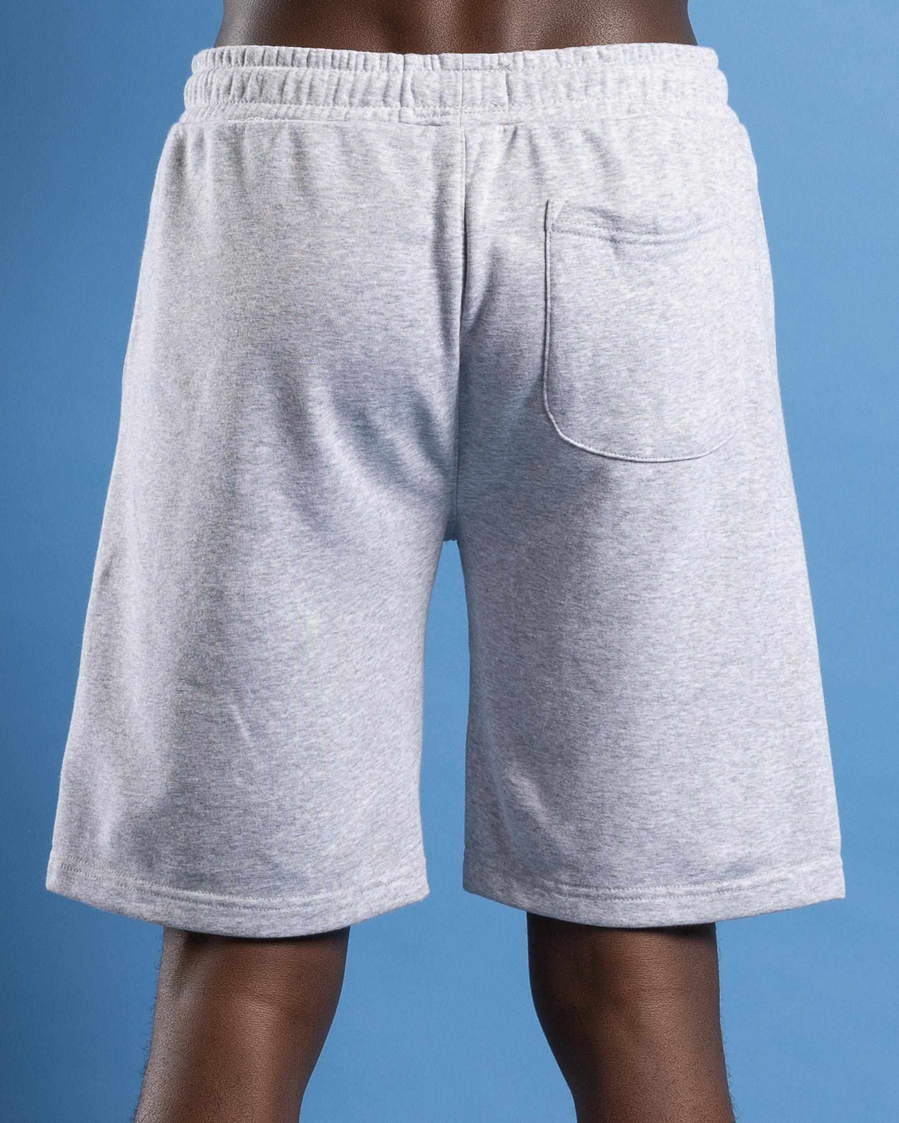 Shop Lucid California House Shorts In Grey - Fast Shipping & Easy ...