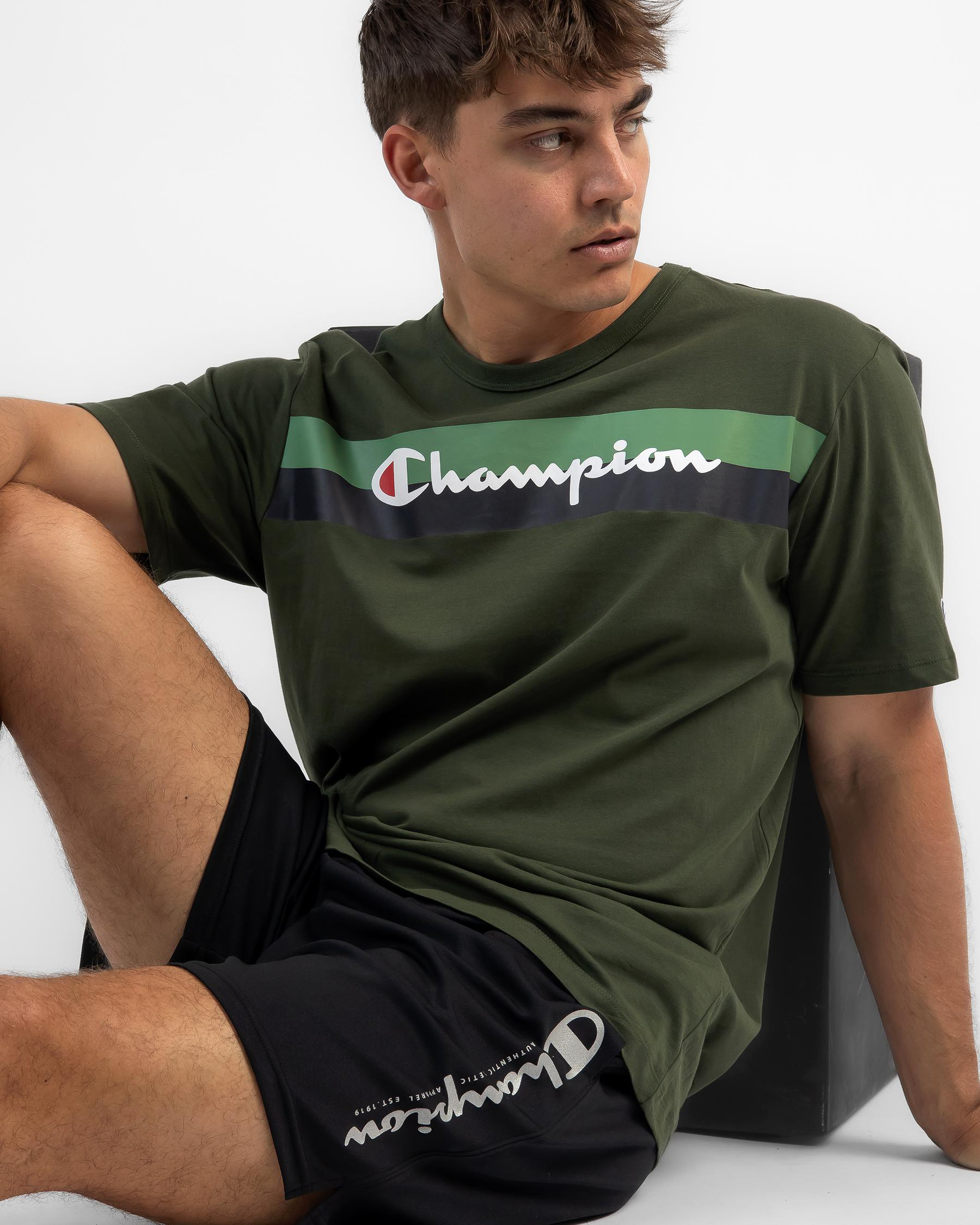 Shop Champion Panel Graphic T-Shirt In Serpentine Green - Fast Shipping ...
