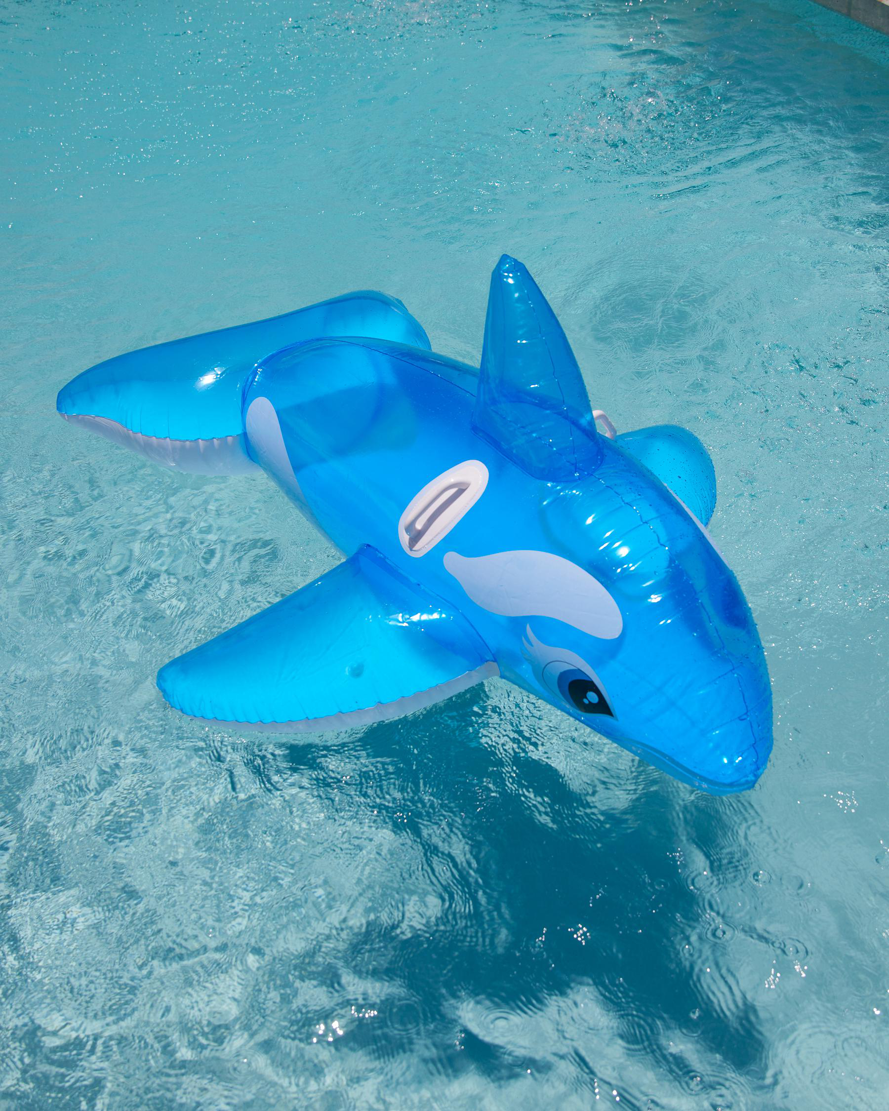 Shop Land & Sea Sports Dolphin Ride In Multi - Fast Shipping & Easy ...