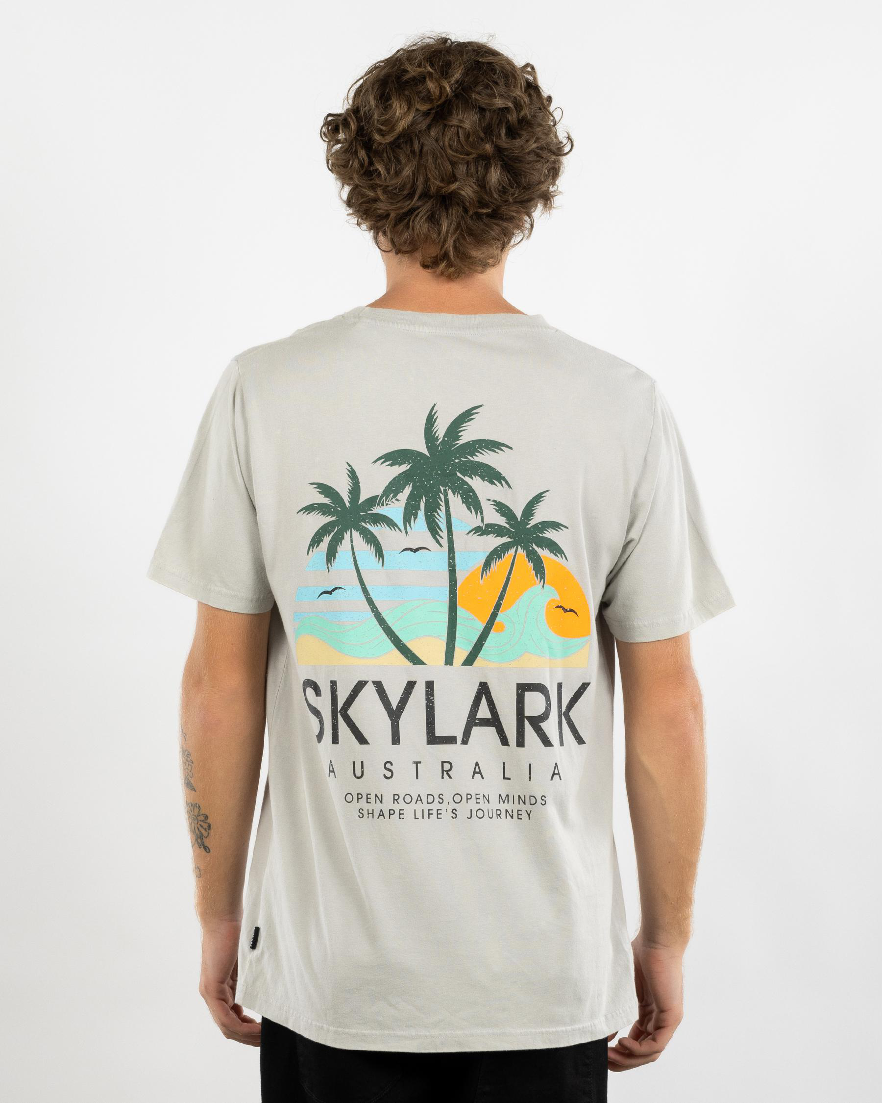 Shop Skylark First Light T-Shirt In Light Grey Acid - Fast Shipping ...