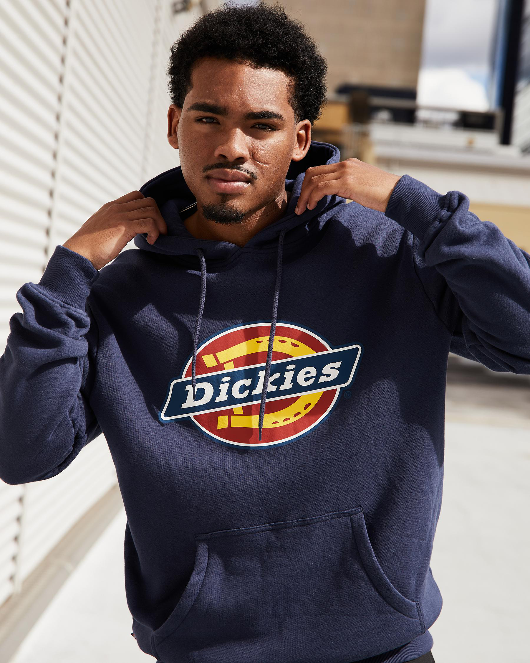 Shop Dickies Classic Logo Hoodie In Navy - Fast Shipping & Easy Returns ...