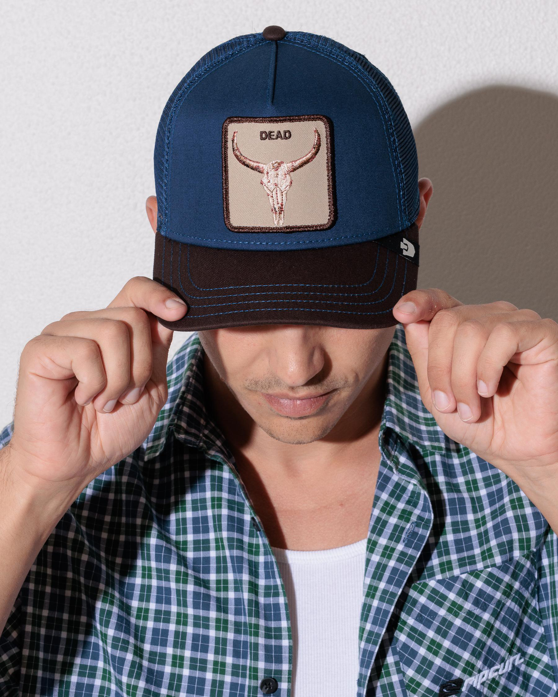Shop Goorin Bros The Two-Tone Skull Trucker Cap In Lilac/dark Brown ...