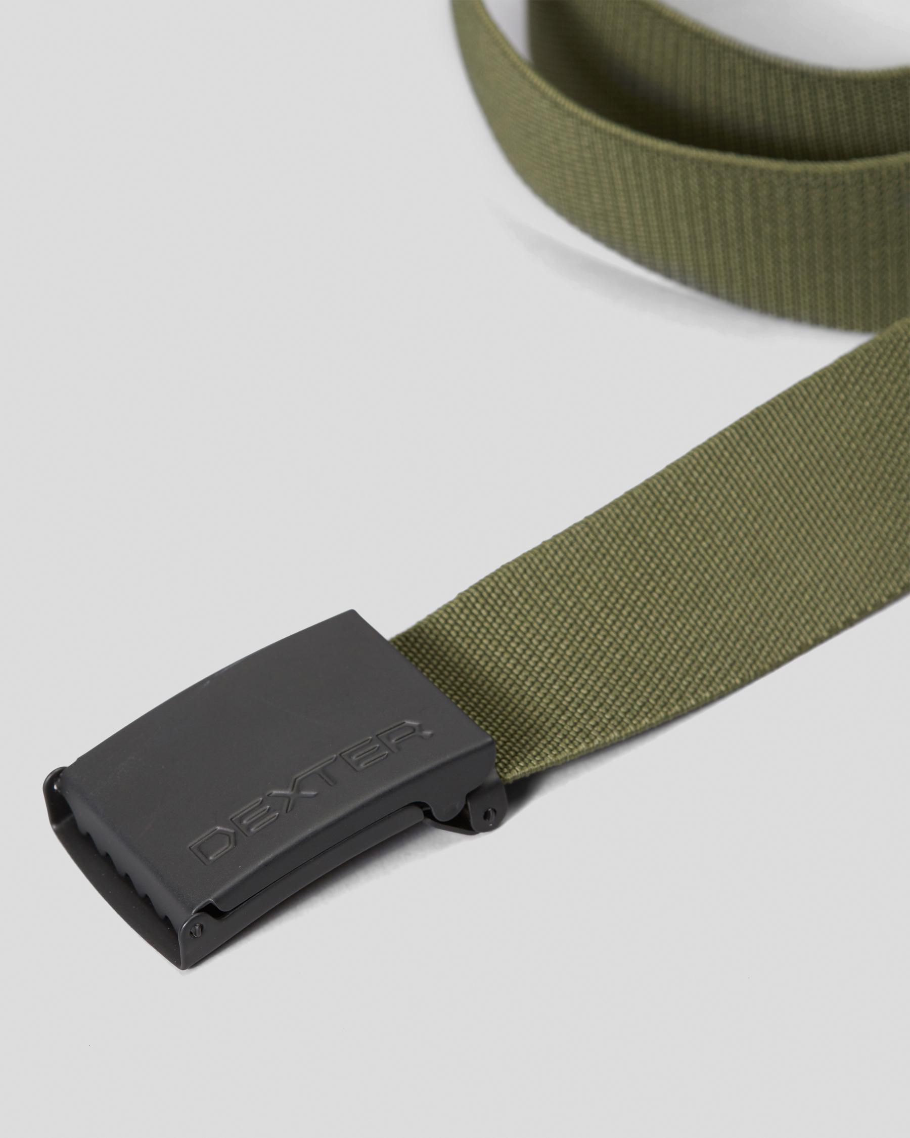 Shop Dexter Stretch Web Belt In Olive - Fast Shipping & Easy Returns ...