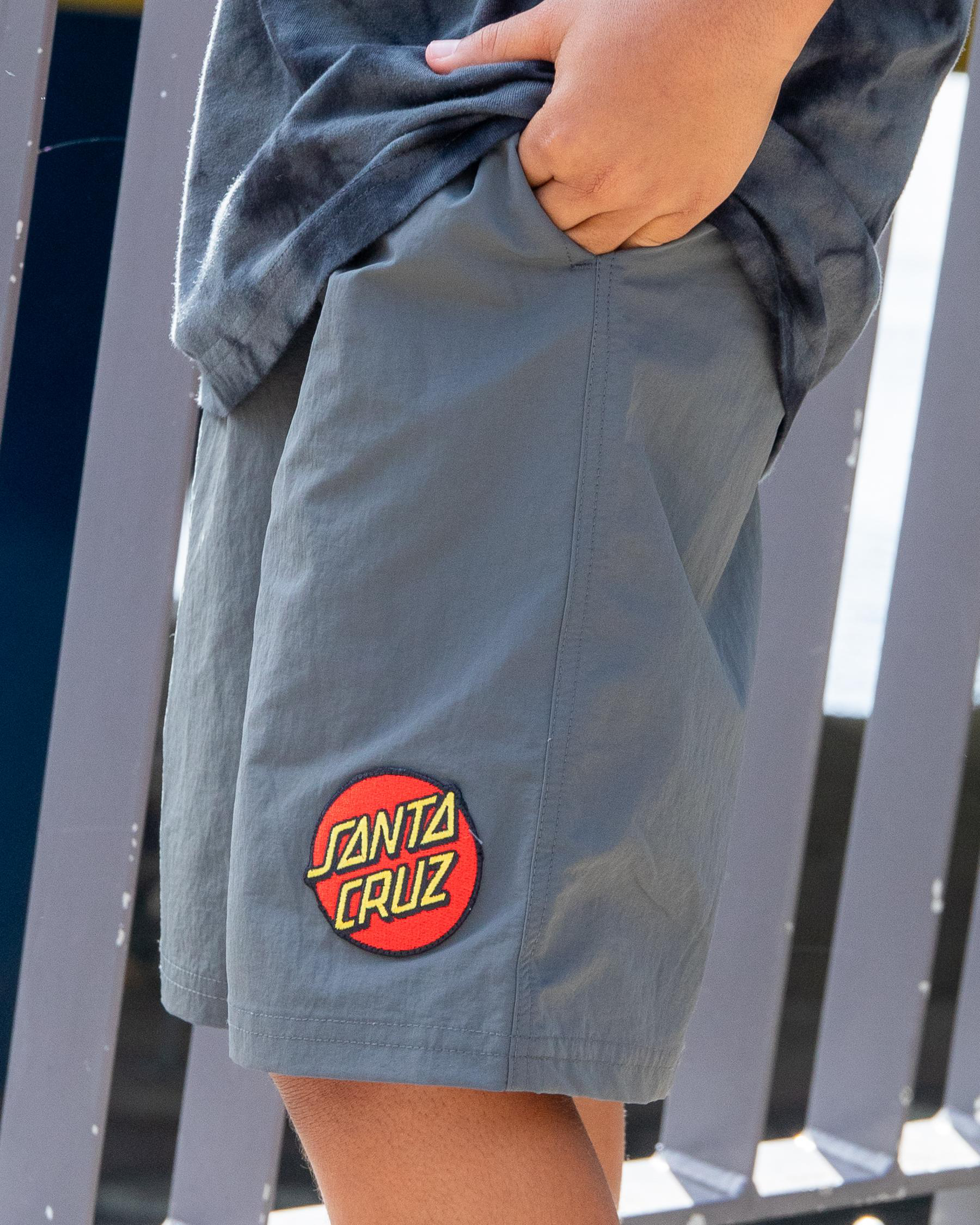 Santa Cruz Boys' Classic Dot Cruizer Shorts In Charcoal - Fast Shipping ...