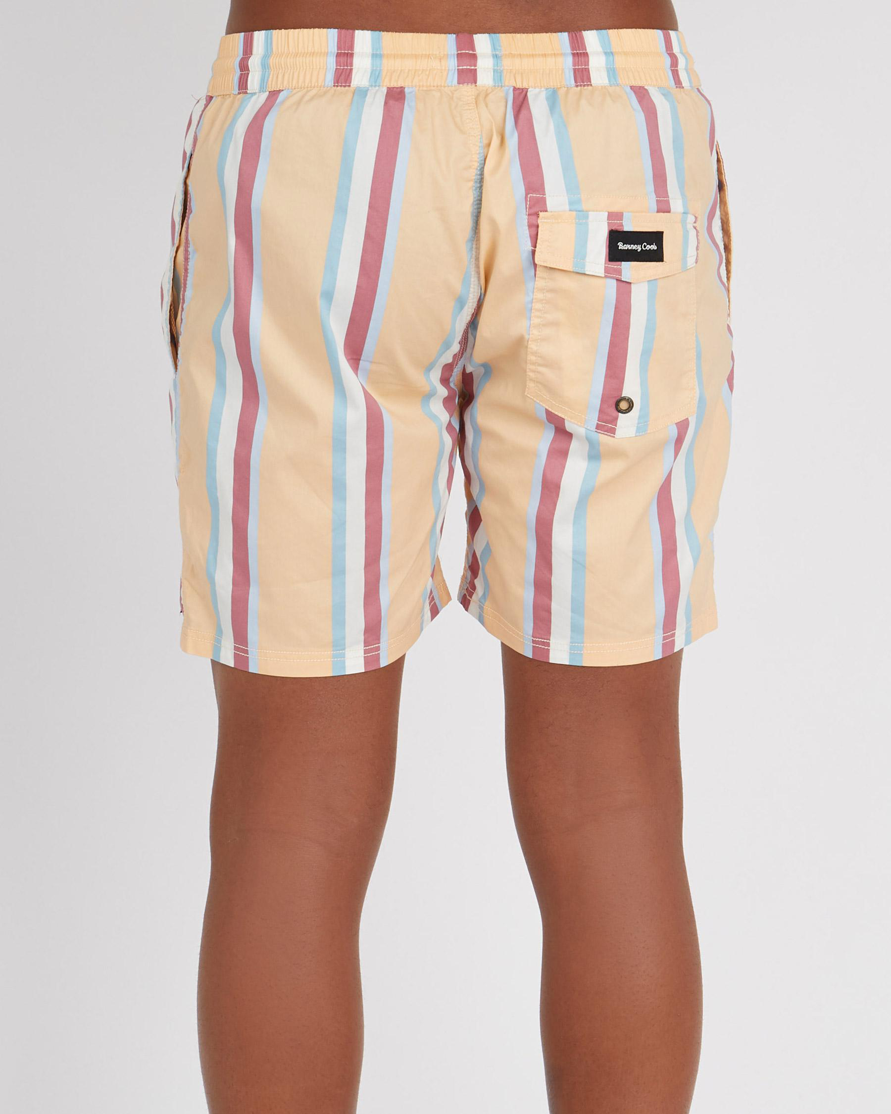 Shop Barney Cools Amphibious 17" Shorts In Mustard Vert Stripe - Fast ...