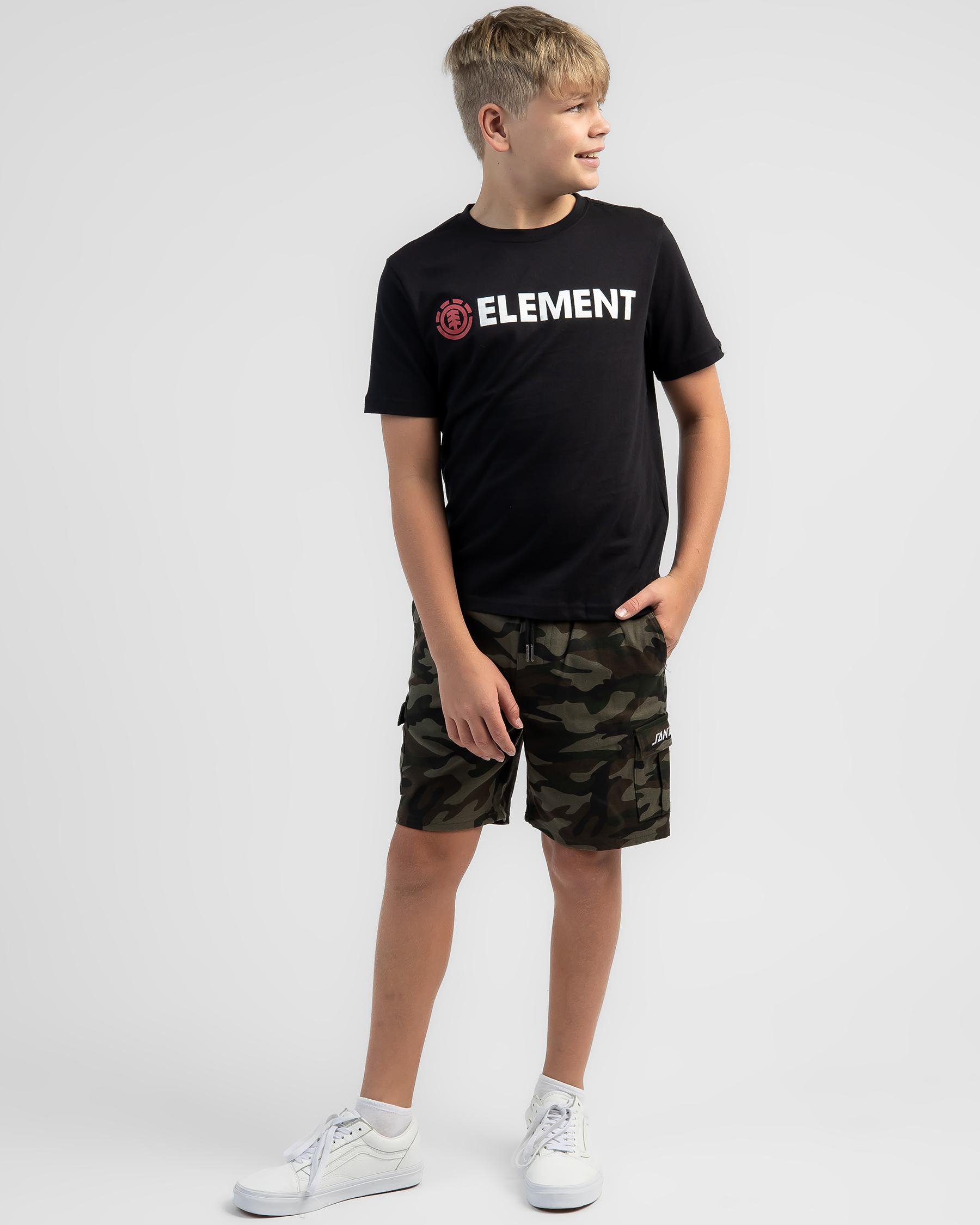 Shop Element Boys' Blazin T-Shirt In Flint Black - Fast Shipping & Easy ...