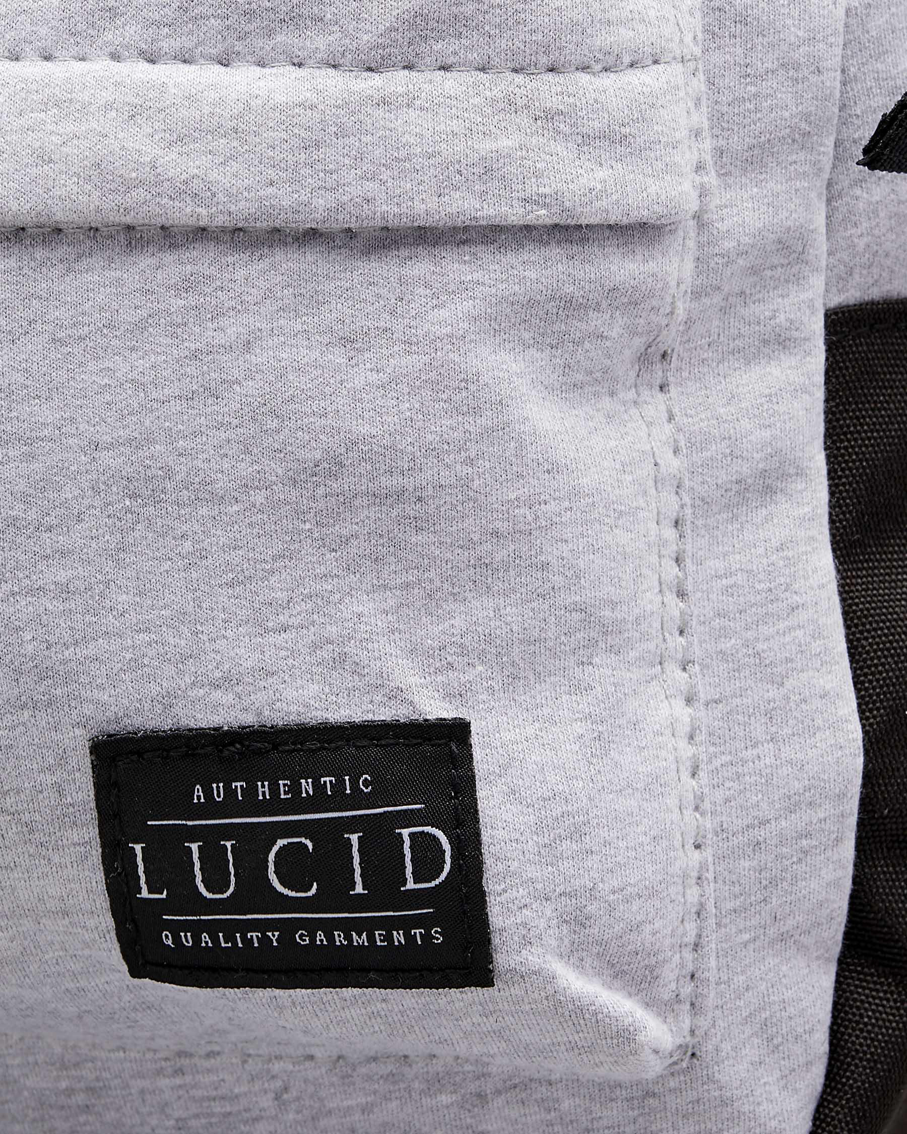 Shop Lucid Express Backpack In Light Grey - Fast Shipping & Easy ...