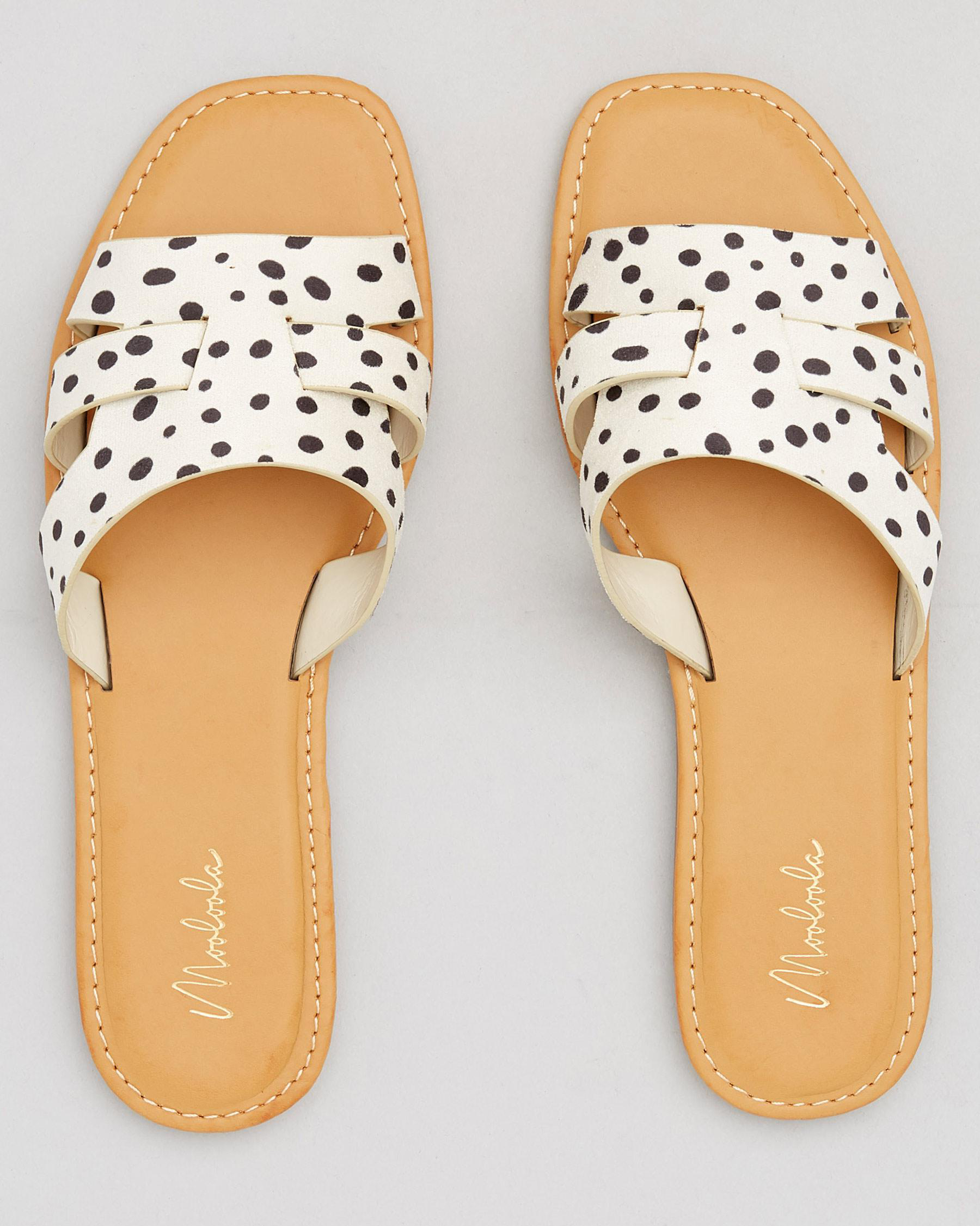 Shop Mooloola Felix Sandals In Animal - Fast Shipping & Easy Returns ...