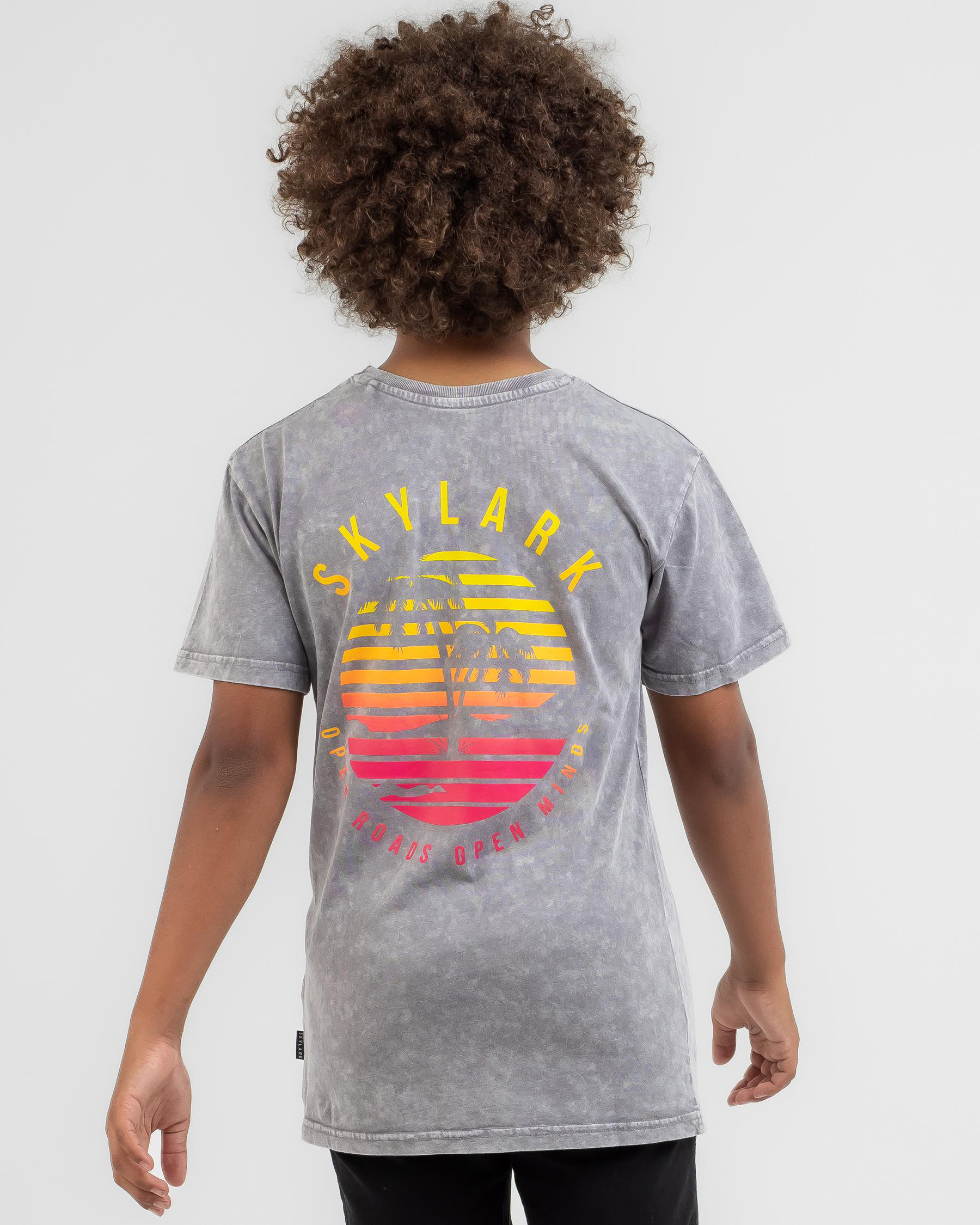 Shop Skylark Boys' Meander T-Shirt In Grey Acid - Fast Shipping & Easy ...