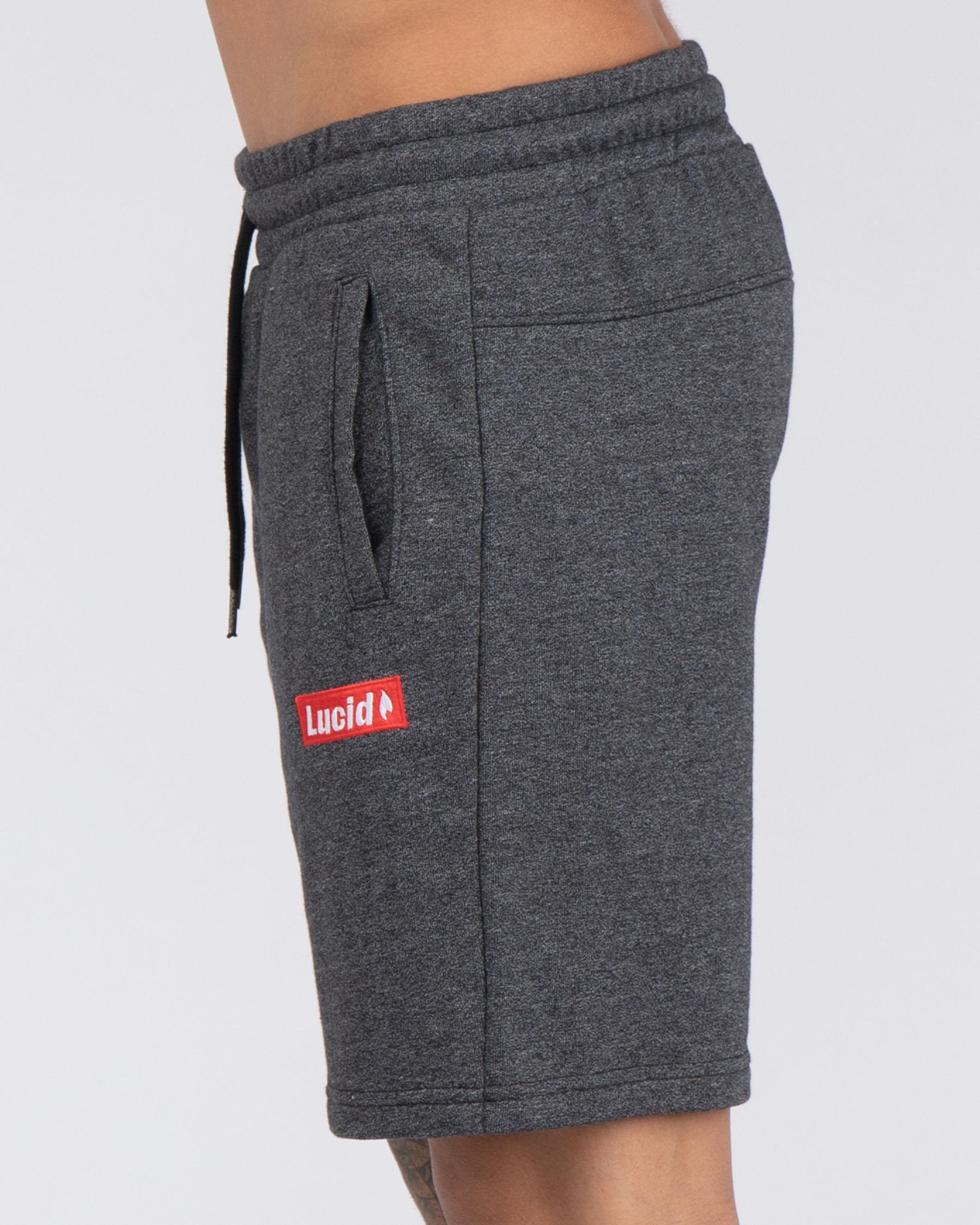 Shop Lucid Ruins House Shorts In Grey - Fast Shipping & Easy Returns ...