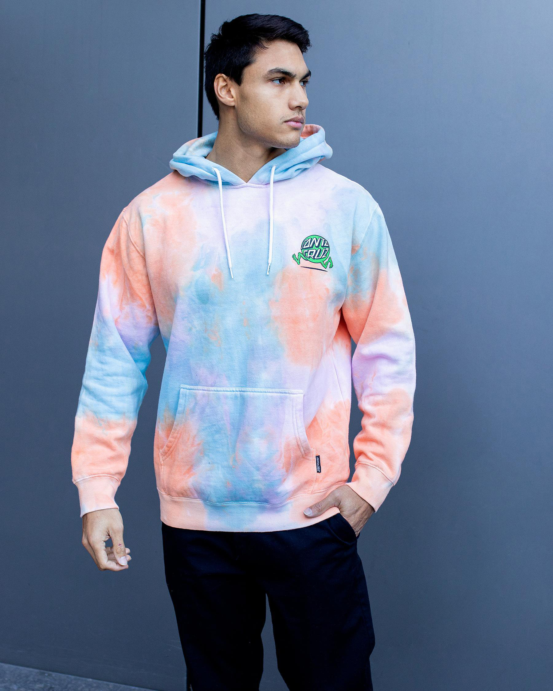 Shop Santa Cruz Toxic Wasteland Pop Hoodie In Purple Haze - Fast ...